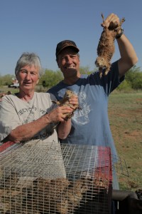 Handling Prairie Dog Relocating ~ Somebody’s Gotta Do It – Mike Rowe