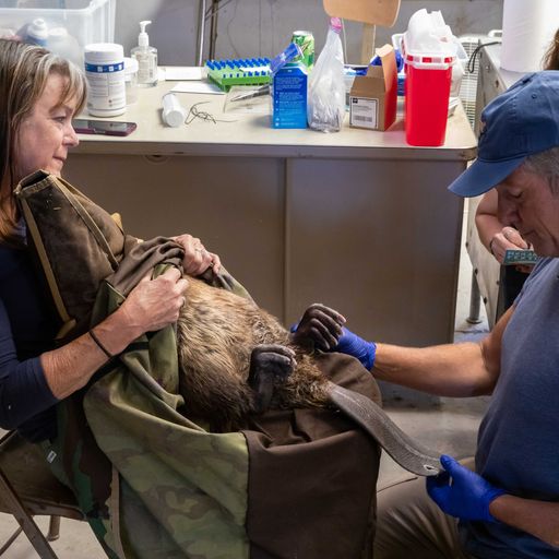 Dirty Jobs Season Finale – Mike Rowe