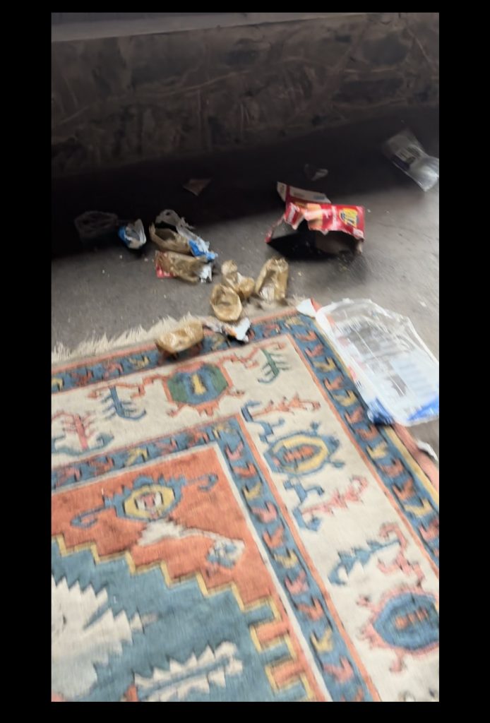 A True Story, Brought to You By Elon Musk – Mike Rowe